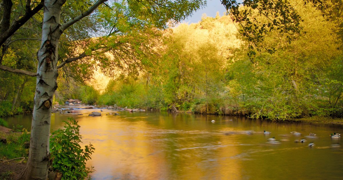 Spotting Fall Colors in Arizona | Visit Arizona