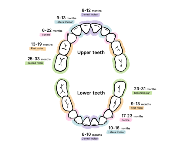 Do babies sleep more while teething?