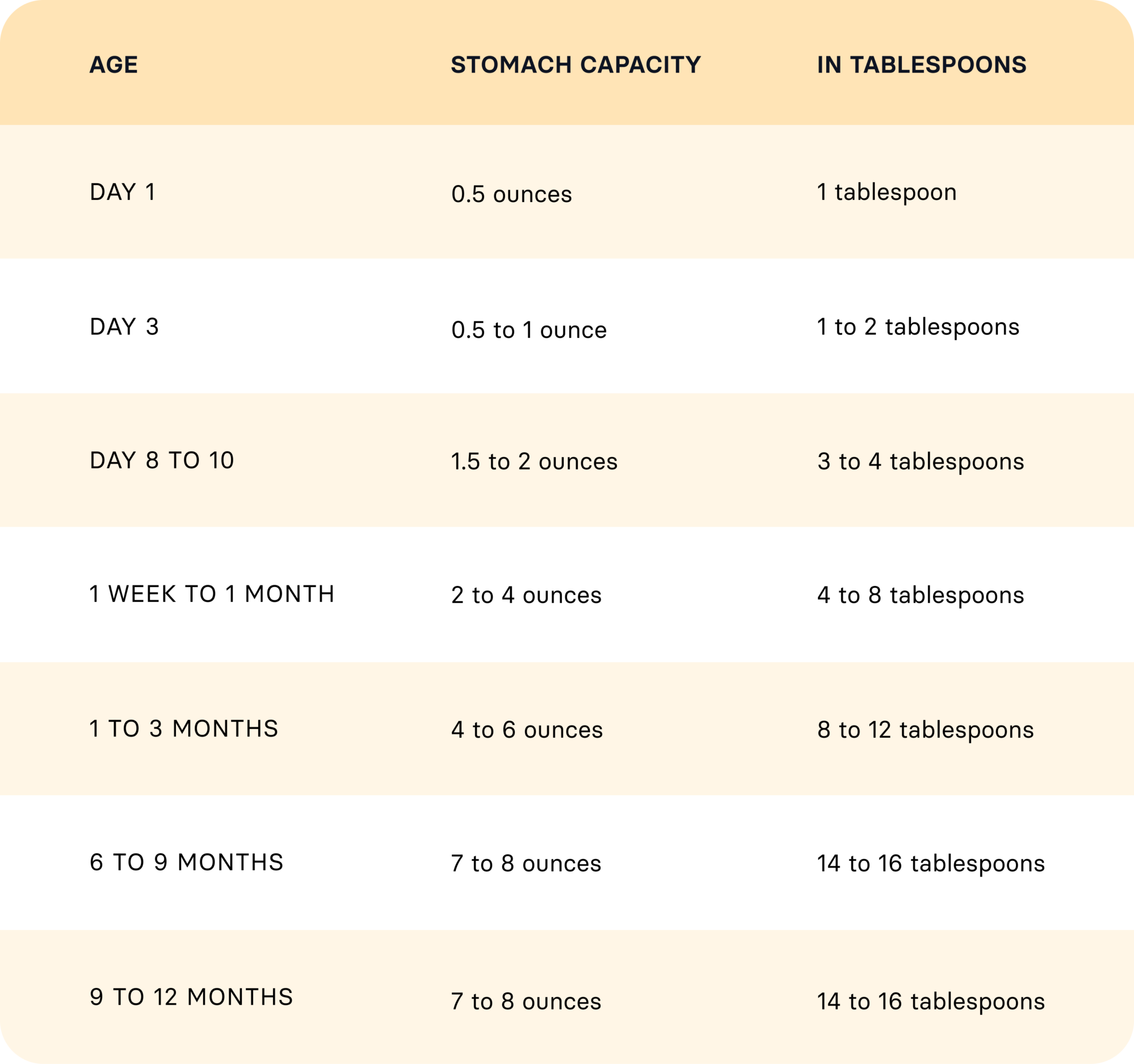 Newborn stomach size and digestion