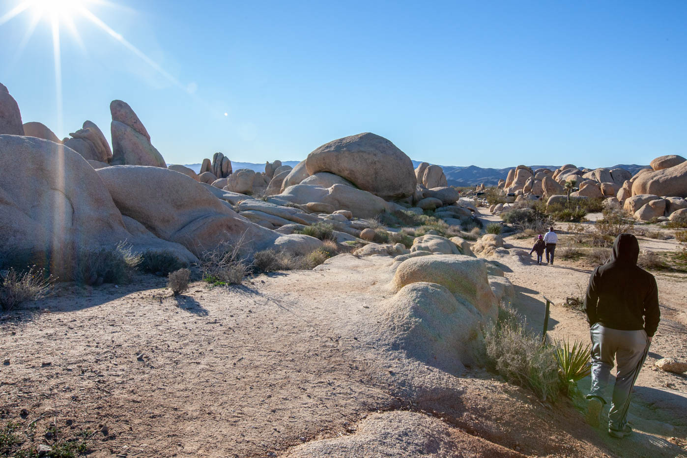 How to Find Arch Rock at Joshua Tree National Park