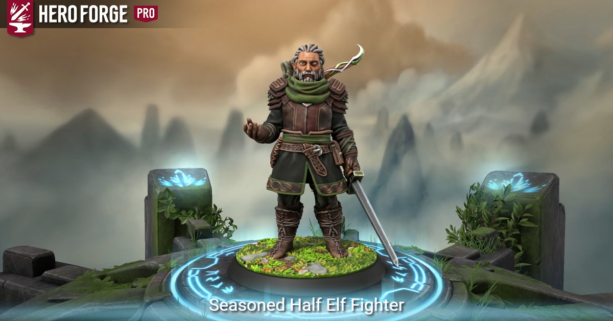 Seasoned Half Elf Fighter - made with Hero Forge