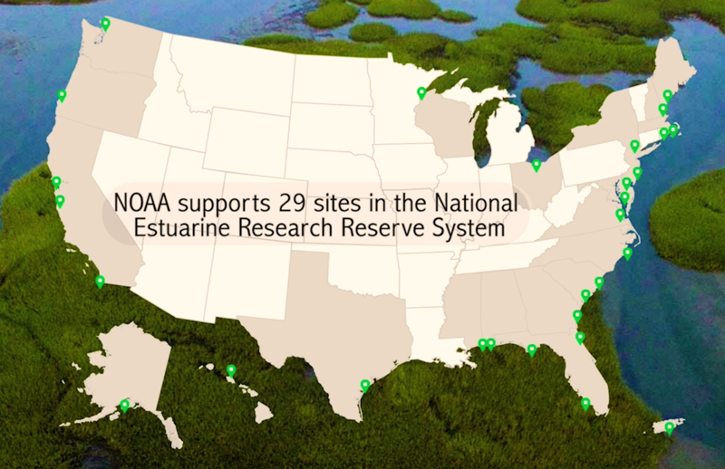 Reserve's NOAA Funding in Jeopardy! - Elkhorn Slough
