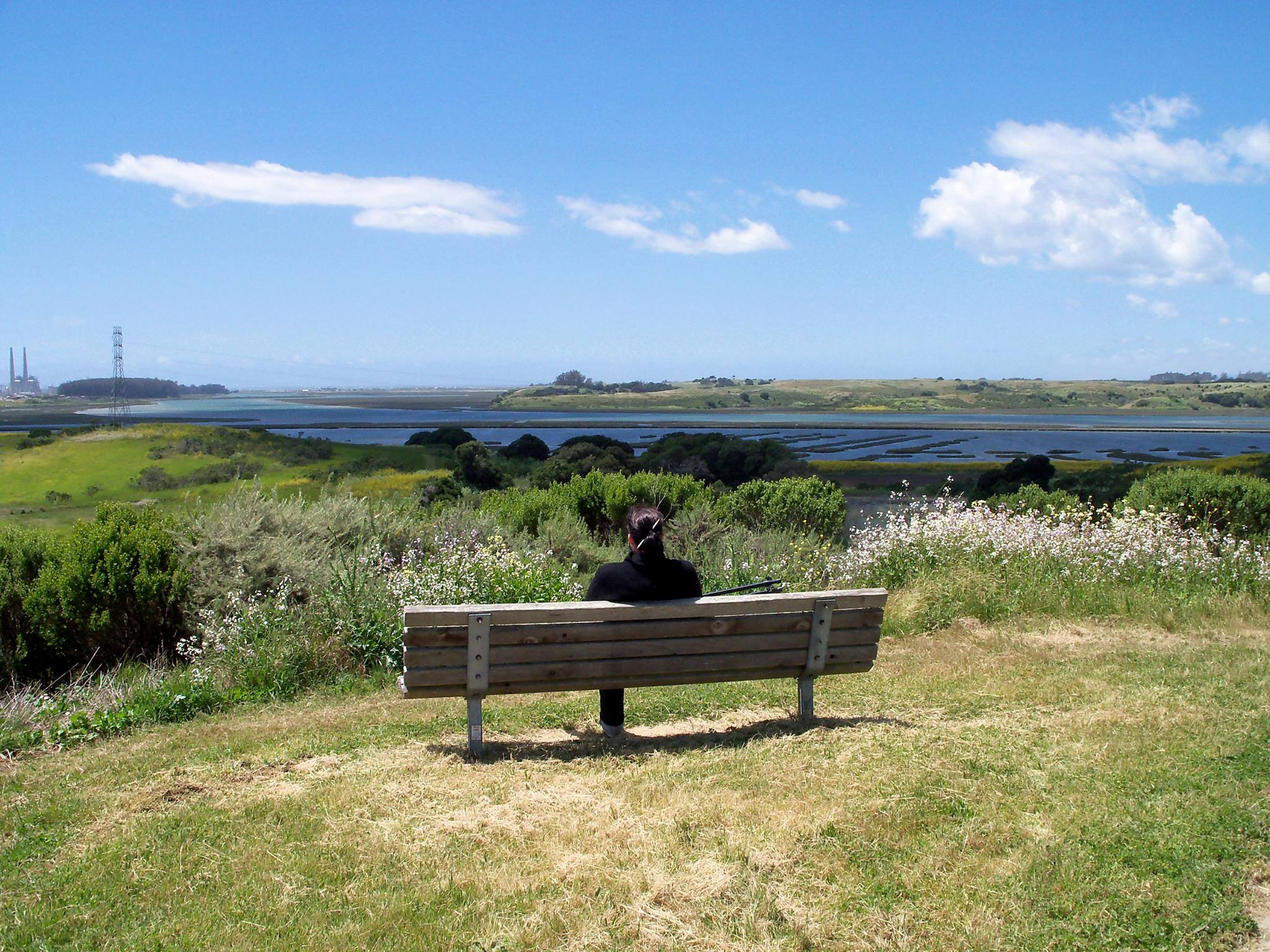 Privacy Policy | Elkhorn Slough