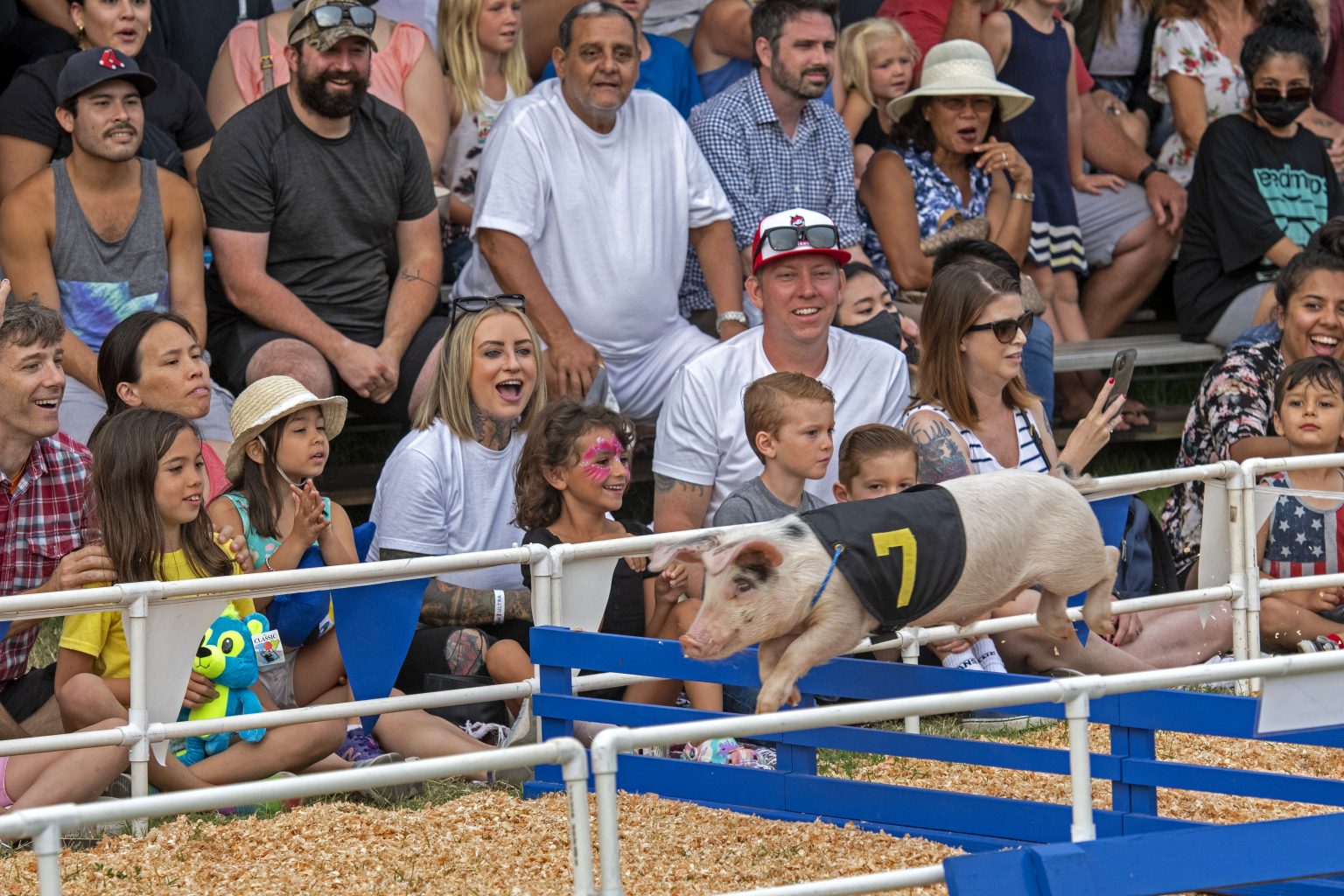All-Alaskan Racing Pigs - OC Fair & Event Center - Costa Mesa, CA