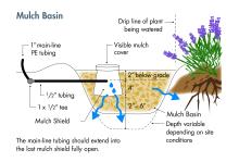 Mulch Basins and Soil Health | Santa Clara Valley Water