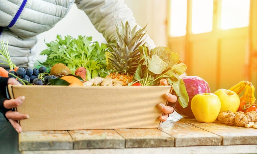 THE MIND MUSCLE CONNECTION - VIVA GLAM MAGAZINE™